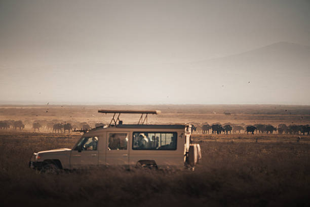 Tanzania Safari Vehicles | Tanview Safaris